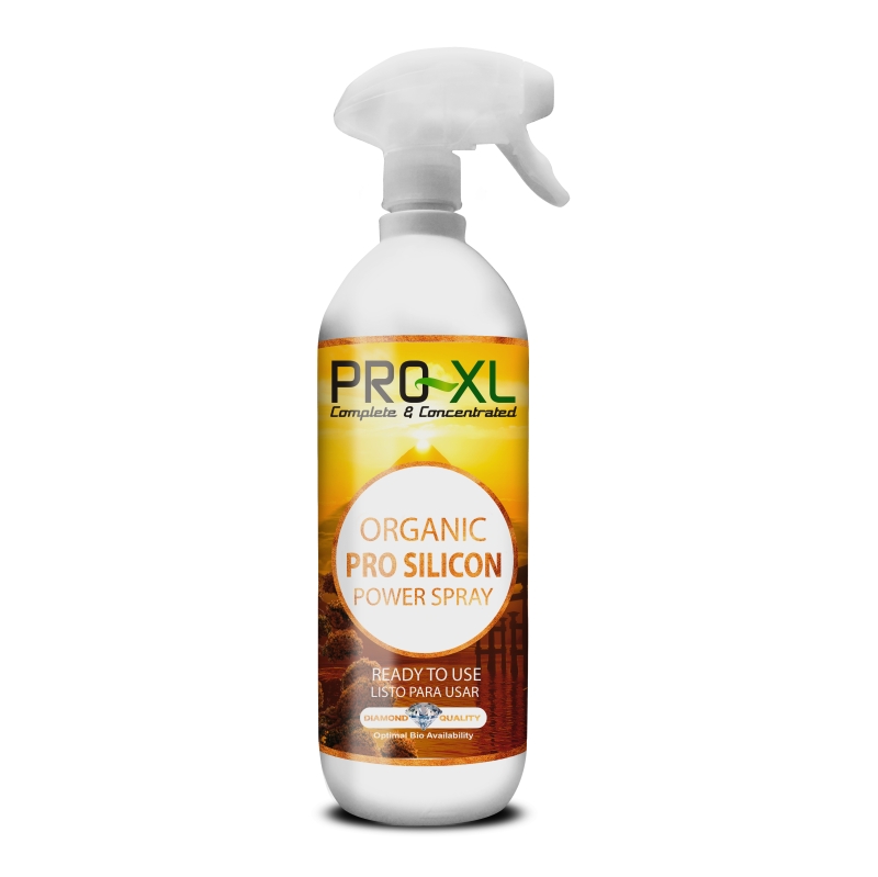 ORGANIC PRO SILICON POWER 1L SPRAY DILUIDO | Plantasur